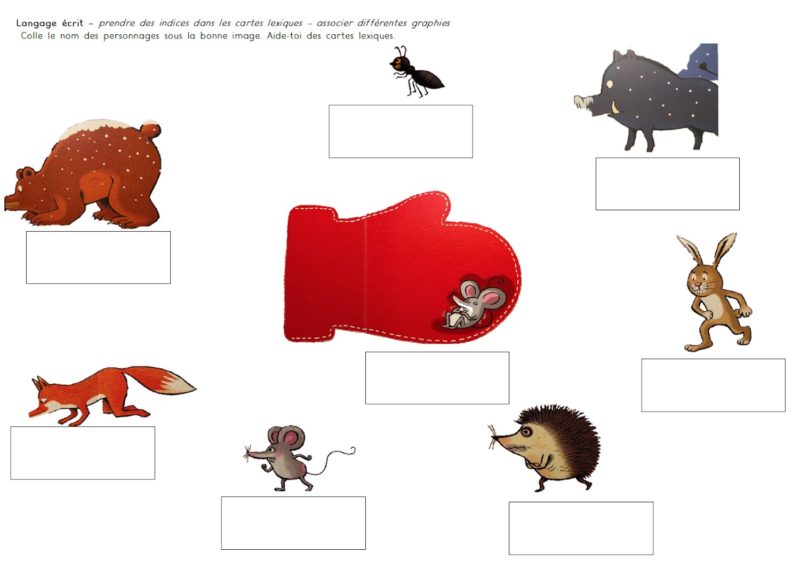 Autour de LA MOUFLE (éd ACCES) : 3 niveaux de découverte, compréhension ...