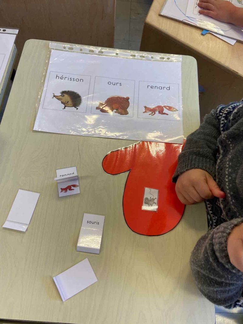 Autour de LA MOUFLE (éd ACCES) : 3 niveaux de découverte, compréhension ...