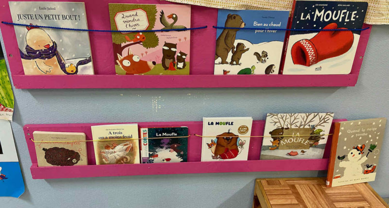 Autour de LA MOUFLE (éd ACCES) : 3 niveaux de découverte, compréhension ...